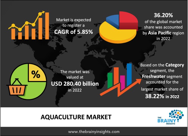 Aquaculture Market Share, Outlook & Analysis 2032 | The Brainy Insights